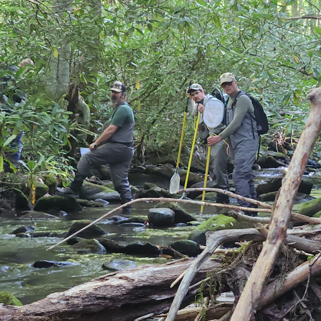 Volunteer Locally - Hiwassee 640