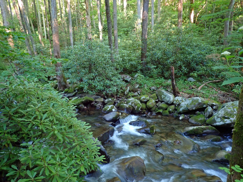 Tellico/Citico Rivers and area streams - Hiwassee 640