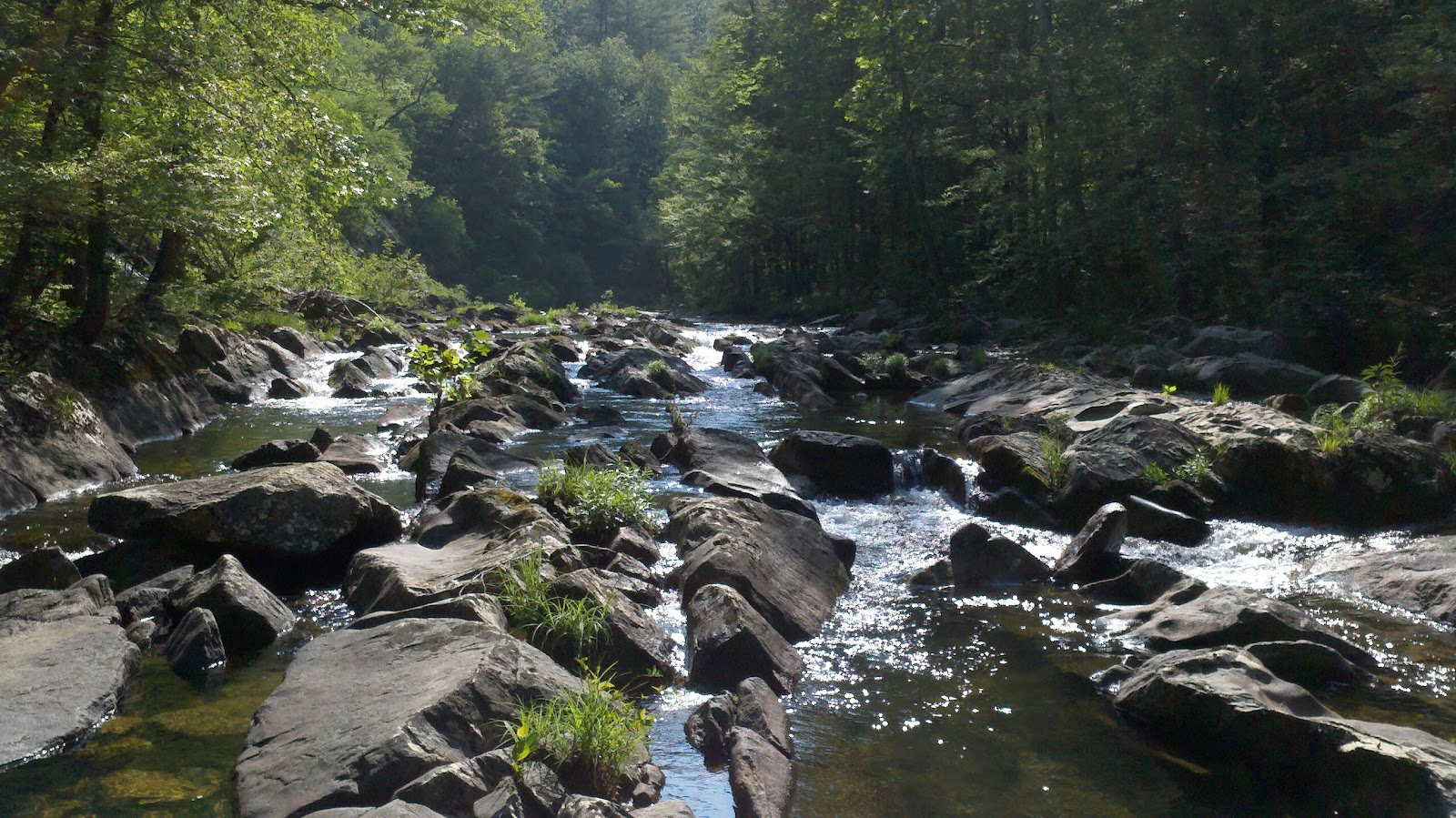 Tellico/Citico Rivers and area streams - Hiwassee 640